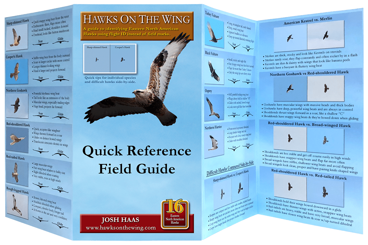 Hawks on the Wing Laminated Quick Reference Guide - Hawks on the Wing